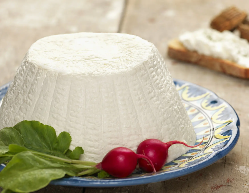 Buffalo ricotta 500g – EURO HFC